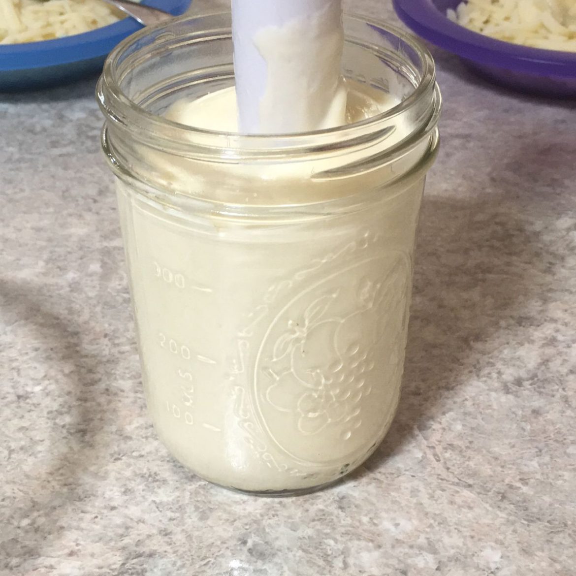 One Minute Mason Jar Mayo - Skinny Daily Recipes