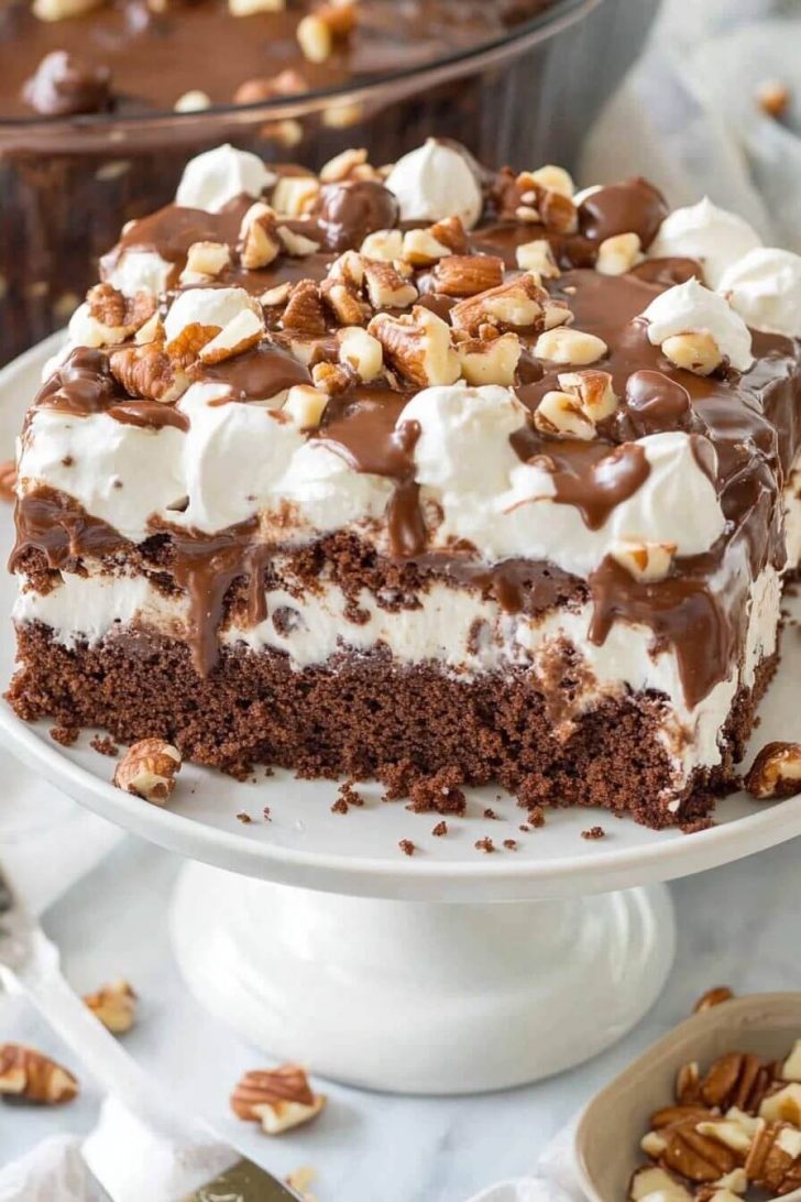 MISSISSIPPI MUD CAKE - Skinny Daily Recipes